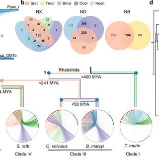 PDF Evolution Of Sexual Systems Sex Chromosomes And Sex Linked Gene Transcription In