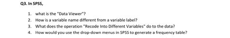 Solved Q3 In Spss 1 What Is The Data Viewer 2 How Is