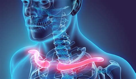 Ossification Test Your Age Is In Your Bones The Week