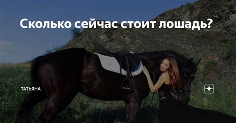 Сколько сейчас стоит лошадь Дневник конника Дзен