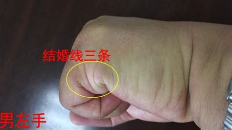 手相：手如伏龜，富貴何愁！ 壹讀