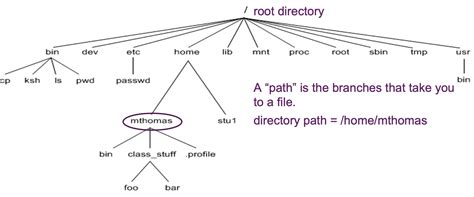 Chapter 3 Linux Ncgr Nise Bioinformatics
