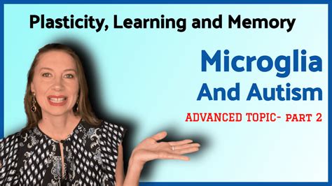 Microglia Learning Memory And Autism