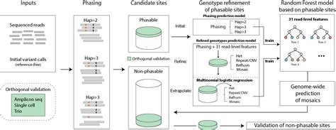 Github Parklab Mosaicforecast A Mosaic Detecting Software Based On Phasing And Random Forest
