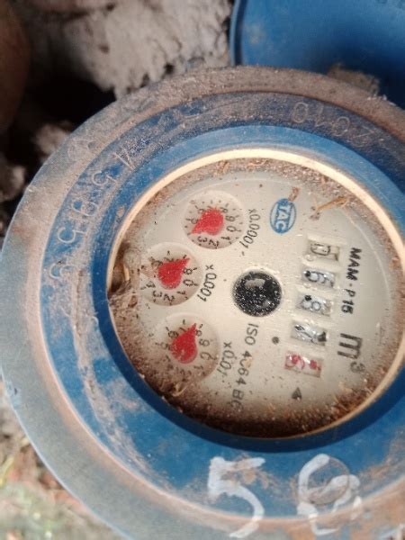 Wt Object Detection Dataset By Test