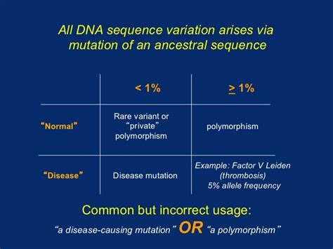 08 13 08 Dna Sequence Variation