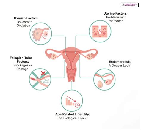 What Is Female Infertility Causes And Hopeful Treatments