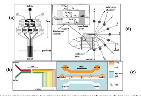 Figure 1 From Microfluidic Platforms For Gradient Generation And Its Applications Semantic Scholar