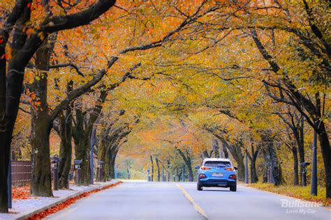 가을 단풍 명소 추천 연휴에 떠나기 좋은 가을 드라이브 코스