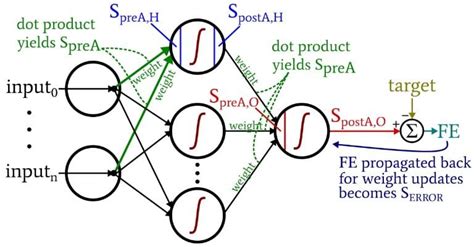 Best 13 Understanding Training Formulas And Backpropagation For Multilayer Perceptrons Artofit