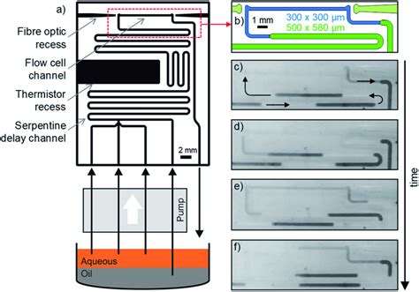 A Cartoon Showing The Chip Design And Experimental Setup For Download Scientific Diagram