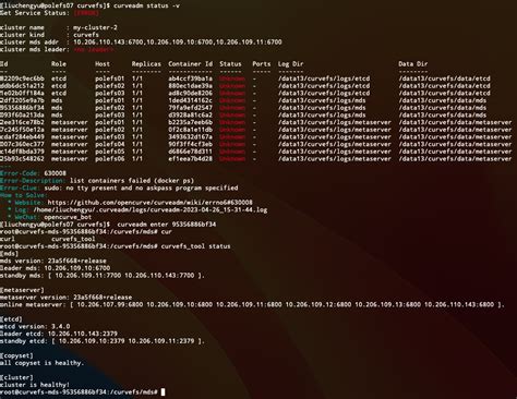 Bug Curveadm Show Wrong Status Of The Cluster · Issue 217 · Opencurvecurveadm · Github