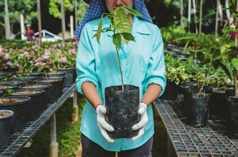 Natures Recyclers The Benefits Of Composting In Your Garden Iaqaba