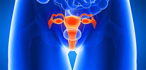 საშვილოსნოს მიომა ნიუ ჰოსპიტალსი