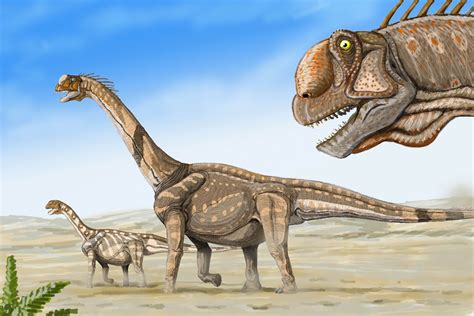 Testing Ideas About The Evolution Of Long Necked Sauropod Dinosaurs