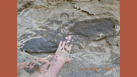 Mudfossil Slide Show Youtube