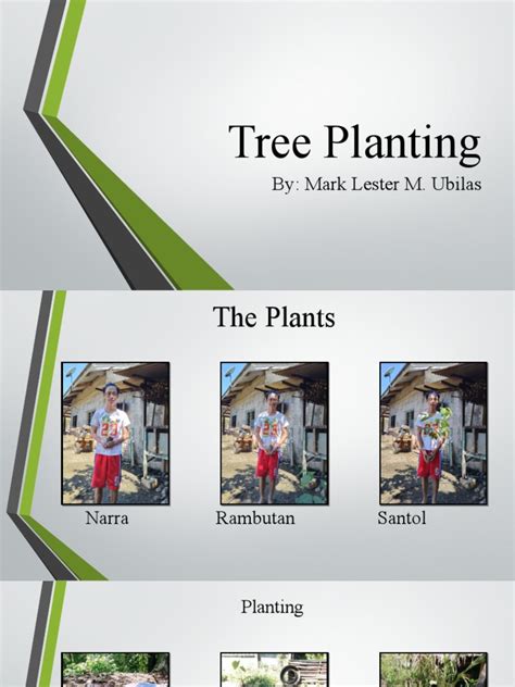 Nstp Tree Planting Pdf