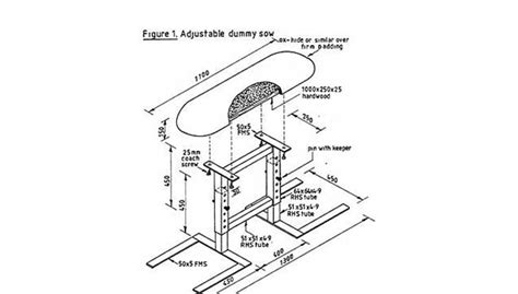 Naive Boars And Dummy Sows Porcine Sex And The Politics Of Purity The Boar Project