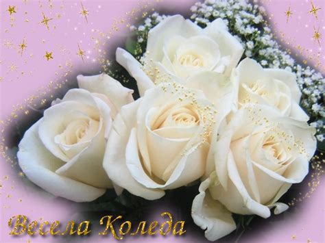 Коледен тапет Весела Коледа десктоп тапети за компютри с рози и коледна звезда