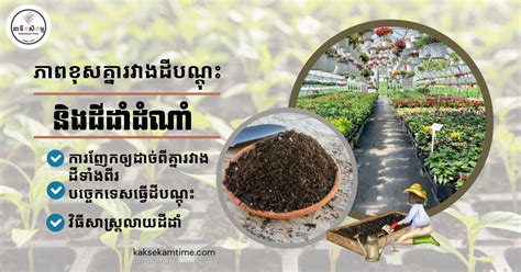 តើដឹងទេថាគេយកធាតុផ្សំអ្វីខ្លះមកធ្វើជាដីដាំដំណាំ និងដីបណ្ដុះកូនឈើ