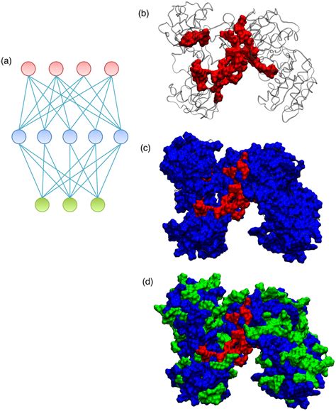 Illustrations Of Residue Correlation Matrix Clustering The Diagram In Download Scientific