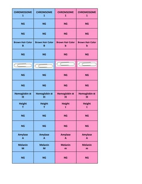 Replication Bubble Unit 6 Pdf