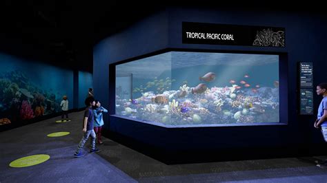 La Conexion Living Seas Opens At Birch Aquarium A Stunning New