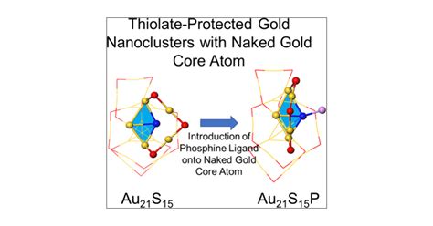 Naked Gold Core Atoms” In Thiolate Protected Gold Nanoclusters The Exploration Of Structural