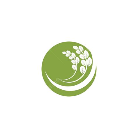 Logo Daun Kelor Template Vektor Ikon Daun Makanan Vektor Daun Ikon Makanan Png Dan Vektor
