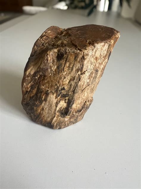 Australian Petrified Wood Fossil Grams Rock Collectors Unique Rough Untreated Natural
