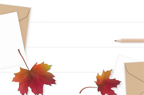 평면 위치 평면도 우아한 흰색 구성 편지 크 라프 트 종이 봉투가을 단풍 잎 및 나무 배경 연필 0명에 대한 스톡 벡터 아트 및 기타 이미지 Istock