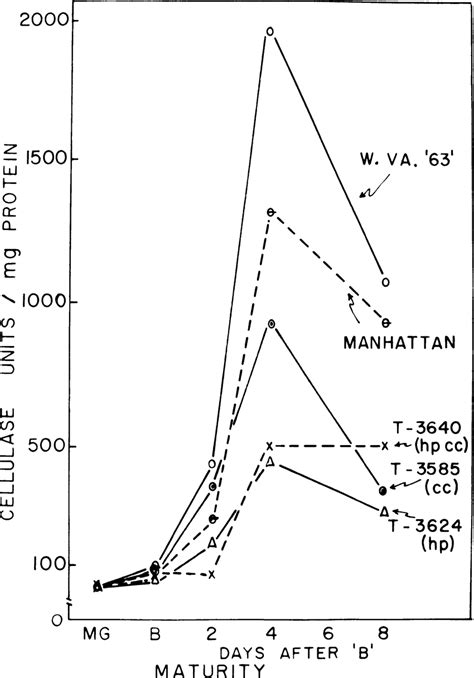 Cellulase Activity Of Ripening Fruit O F Several Tomato Lines