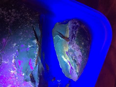 Need Help Identifying Fossil ID The Fossil Forum Need Help Identifying Fossil ID The Fossil Forum