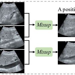 Illustration Of The PPI Module It Contains Three Steps Randomly Download Scientific