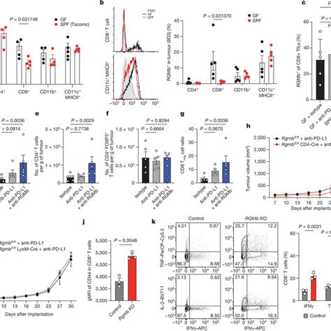 Pd L2 Rgmb Blockade Is Sufficient To Promote Anti Tumour Responses In