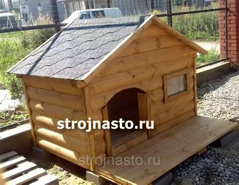 Будка для собаки с навесом (50 фото) - фото - картинки и рисунки ...