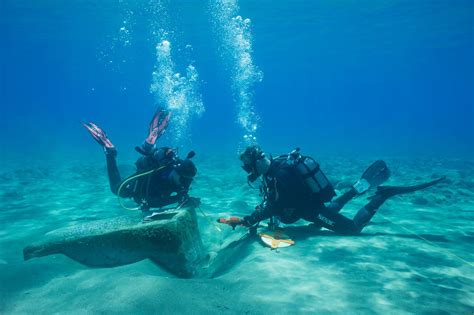 Shared Path Shared Path Consultation Initiative