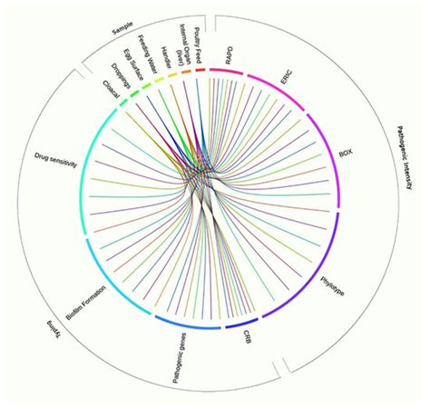 Microorganisms Special Issue Microbial Isolation And Characterization
