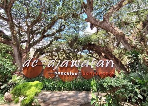 De Djawatan Banyuwangi Serunya Liburan Ala Fargon Forest
