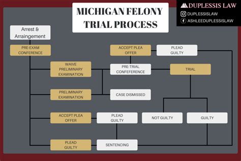 Michigan Felony Trial Process Detroit Legal Defense