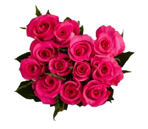 Fresh Hot Pink Roses Dozen Bunch 1 Ct Kroger
