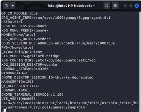 How To Set Environment Variables In Linux Guide Beebom