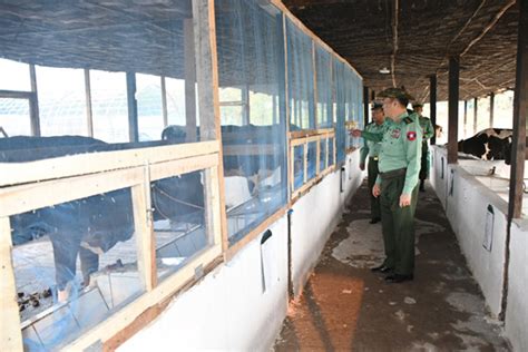 ဒေသတွင်းစိုက်ပျိုး၊ မွေးမြူရေးနှင့် ကုန်ထုတ်လုပ်ငန်းများ ရာနှုန်းပြည့် ဆောင်ရွက်နိုင်ရေး စိုက်ပ