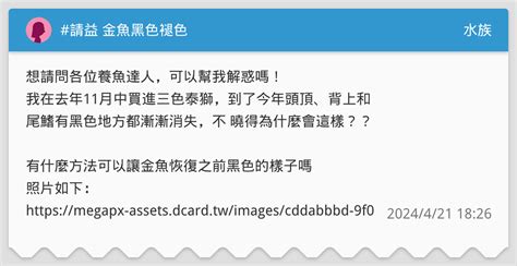 請益 金魚黑色褪色 水族板 Dcard