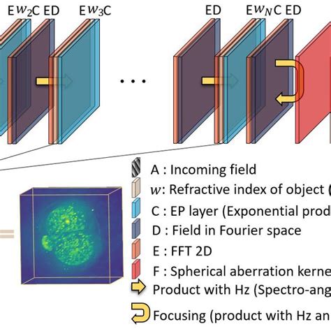 Schematic Of The Diffractive Deep Neural Network Download Scientific