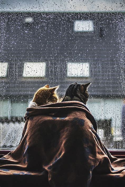 吞风吻雨葬落日未曾彷徨欺山赶海践雪径也未绝望拈花把酒偏折煞世人情狂凭这两眼与百臂或千手不能防天阔阔雪漫漫共谁同航。。