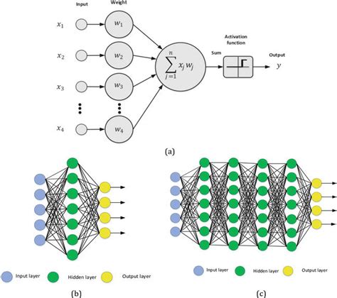 Deep Learning Approach For Raman Spectroscopy Intechopen