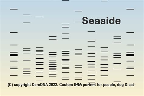 Custom Dna Art Personalized Genetic Masterpiece Beach Ocean Etsy