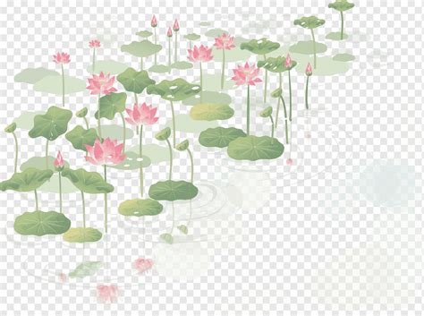 꽃 그리기 손으로 그린 연꽃 수채화 그림 꽃 배열 잎 Png Pngwing