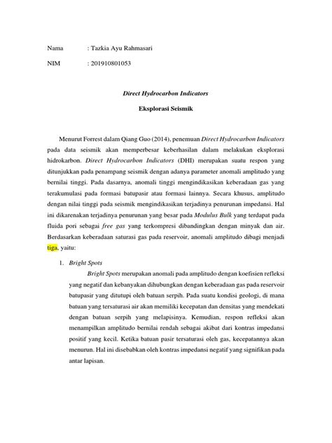 Direct Hydrocarbon Indicators Pdf